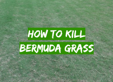 How to Use a Weed Killer [Guide For Beginners] - Grass Killer