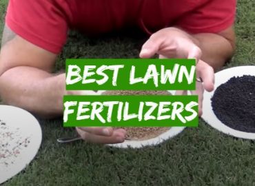 Top 5 Best Herbicides for Trees [2021 Review] - Grass Killer