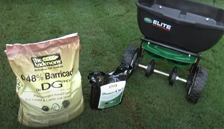 11 Ways to Make Bermuda Grass Thicker - Grass Killer