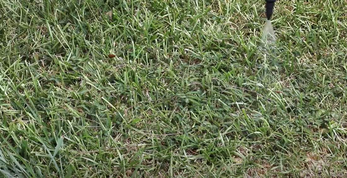 Ranger Pro Herbicide Dangers - Grass Killer